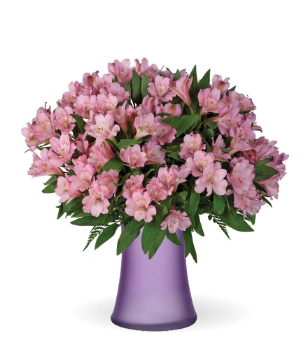 alstroemeria flower pink
